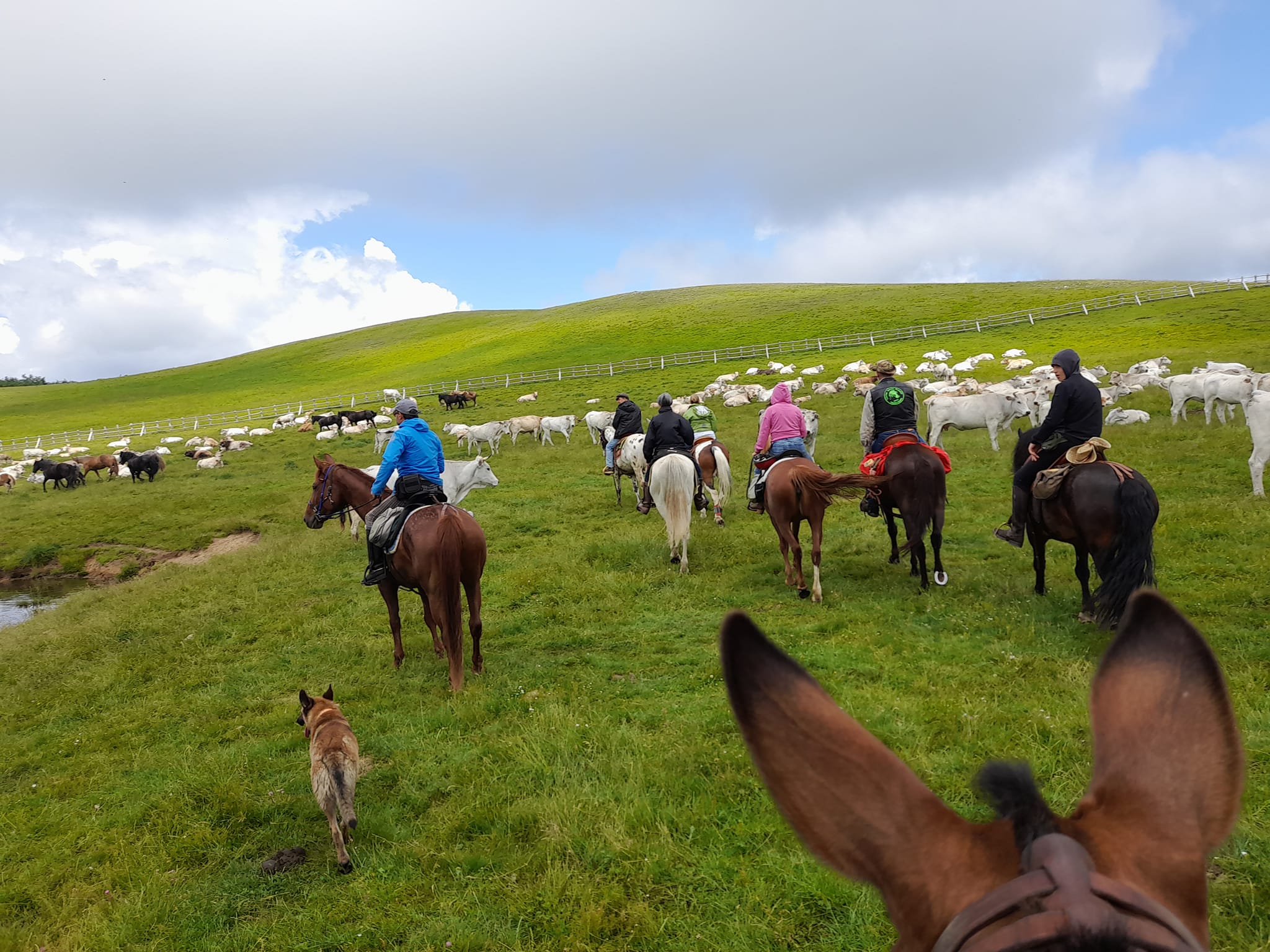 Domenica 13 Agosto trekking a cavallo nello splendido scenario dei ...