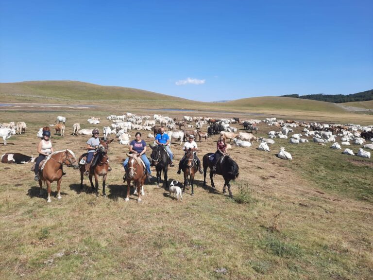 Domenica 13 Agosto trekking a cavallo nello splendido scenario dei ...